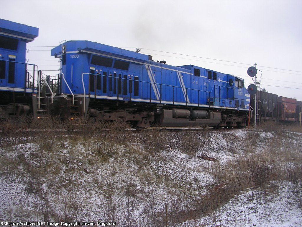 CEFX 1003 Leaves Eagle Mills